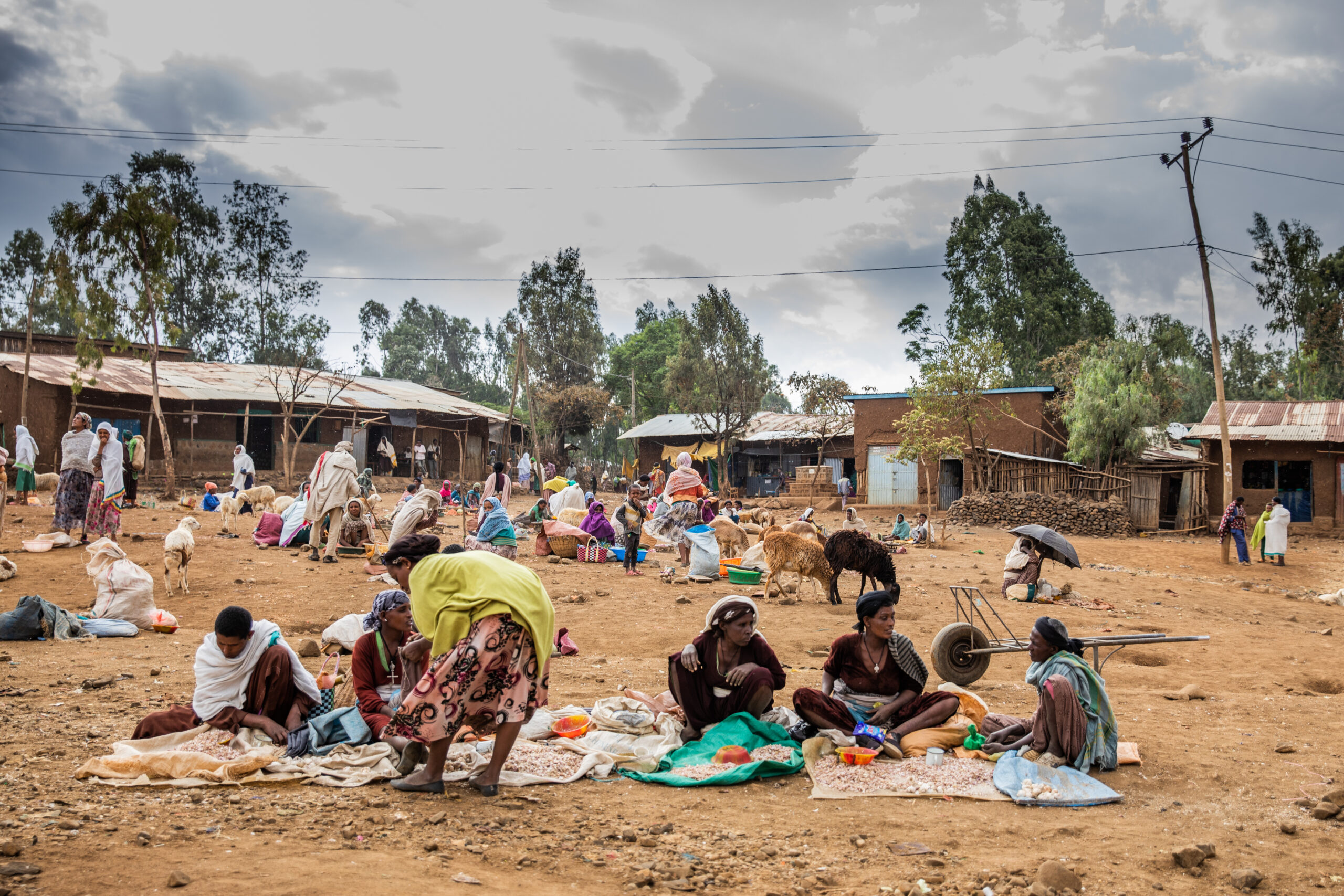 Progress Monitoring Healthy Village Ethiopia - Max Foundation